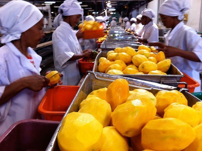 Société CODAL Madagascar-Comptoir industriel de produits alimentaires